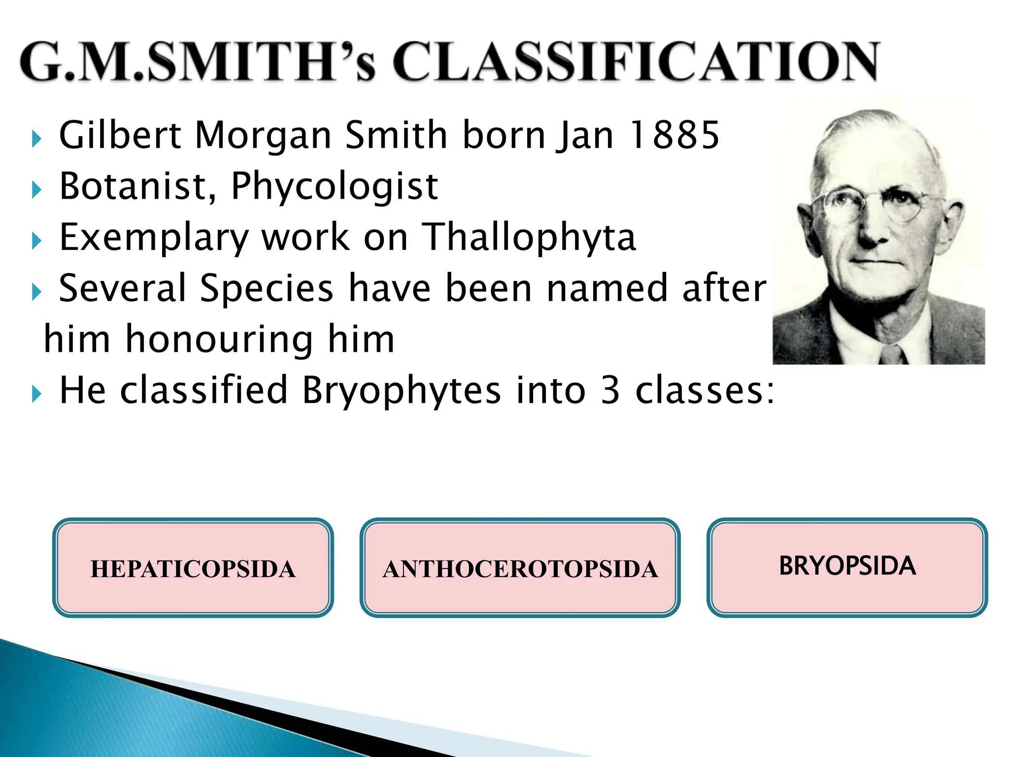 BRYOPHYTES CLASSIFICATION BY GM Smith.pptx