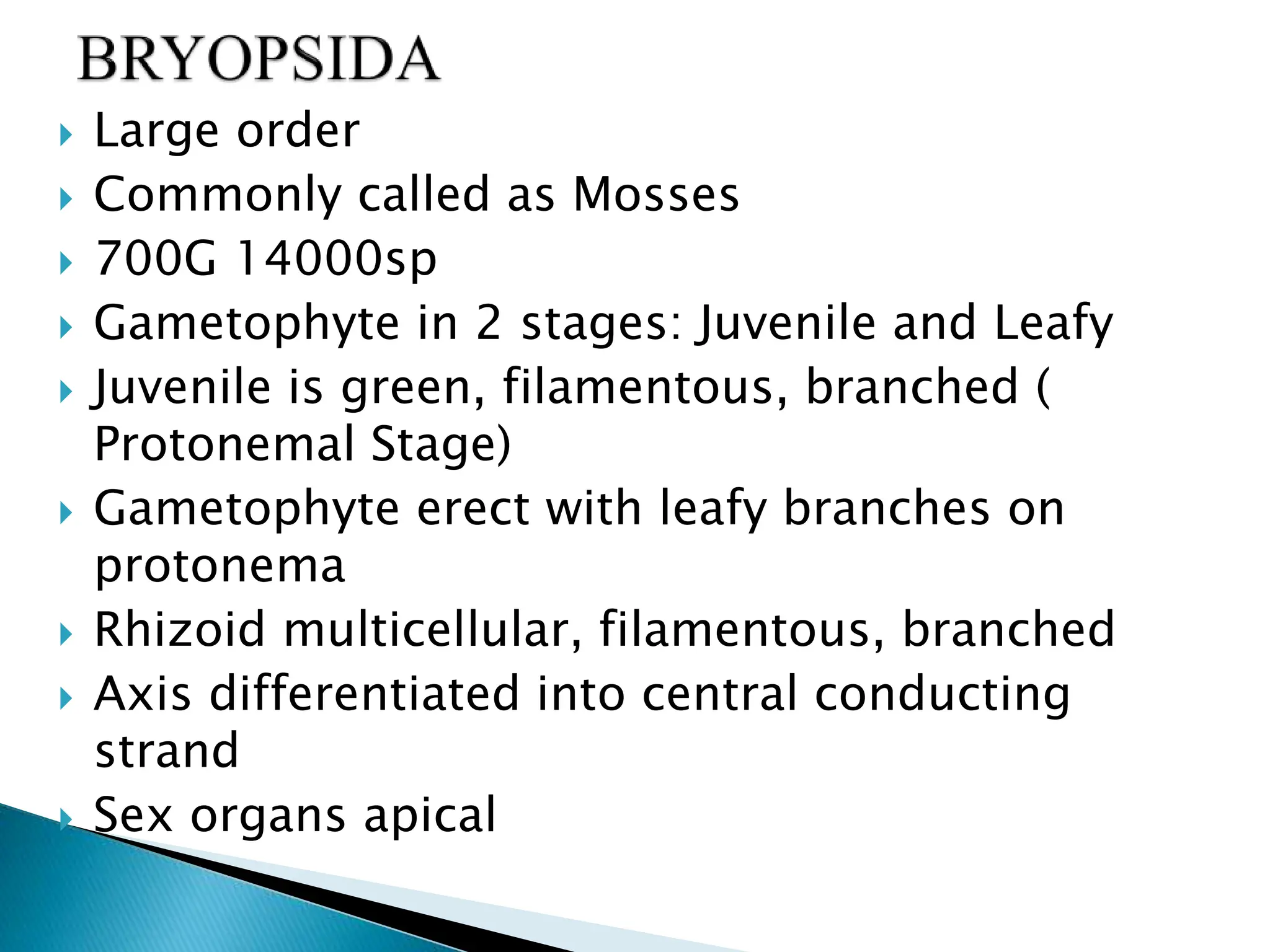 BRYOPHYTES CLASSIFICATION BY GM Smith.pptx