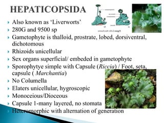 BRYOPHYTES CLASSIFICATION BY GM Smith.pptx