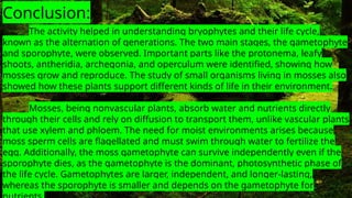 "The Fascinating World of Moss: Structure, Life Cycle, and Ecological ...