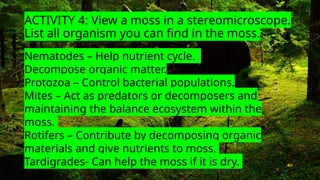 "The Fascinating World of Moss: Structure, Life Cycle, and Ecological ...