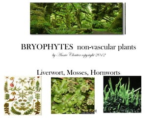 Mosses Bryophytes cloutier 2012 | PPT