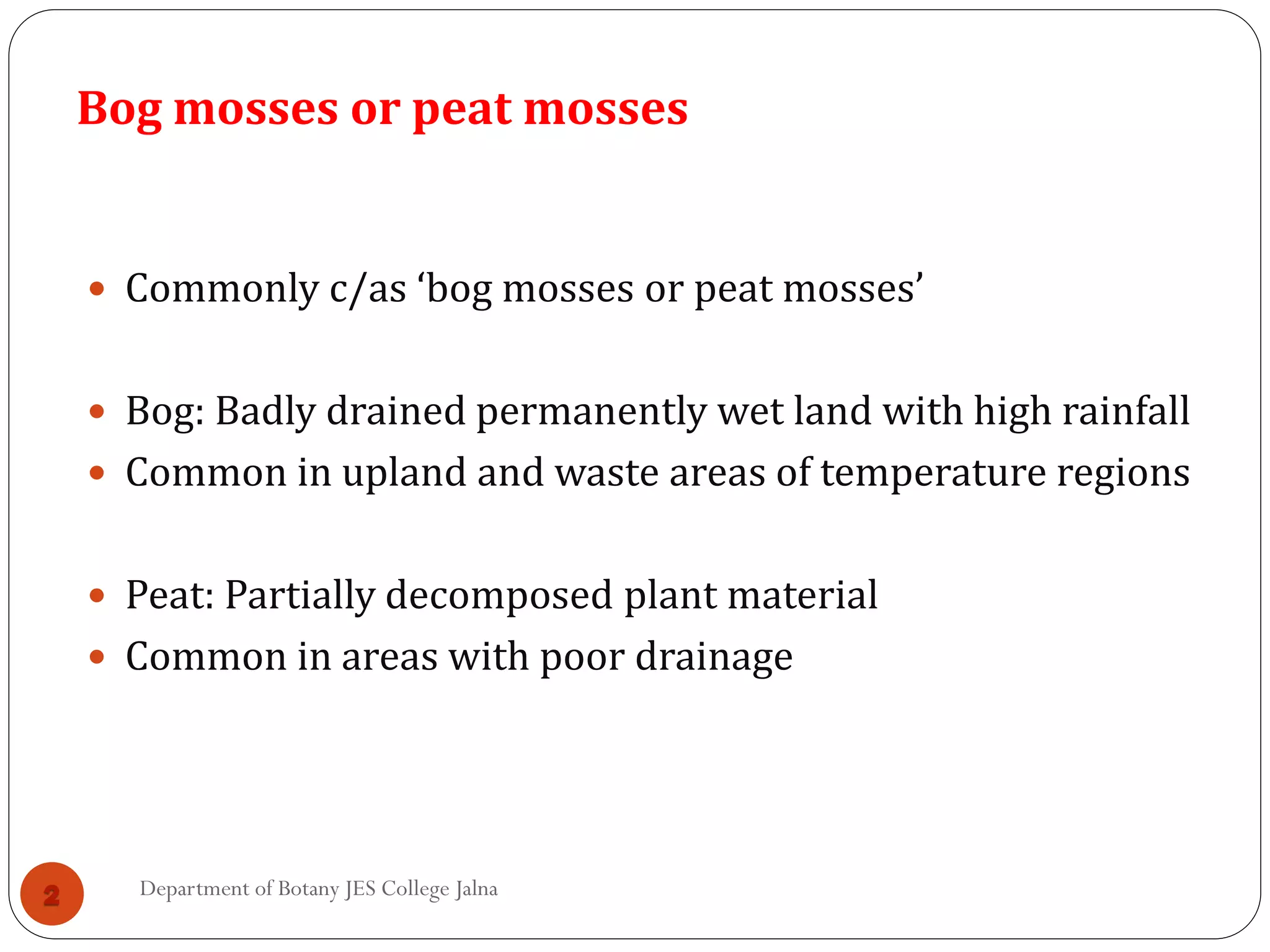 Bryophytes order sphagnales | PDF