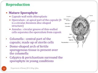 Bryophytes order sphagnales | PDF