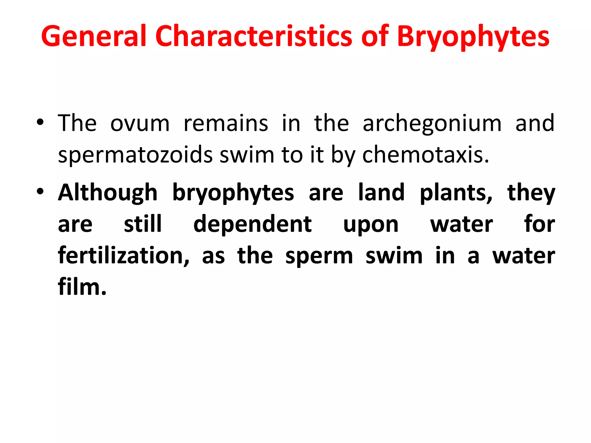 Bryophytes,Pteridophytes | PPTX