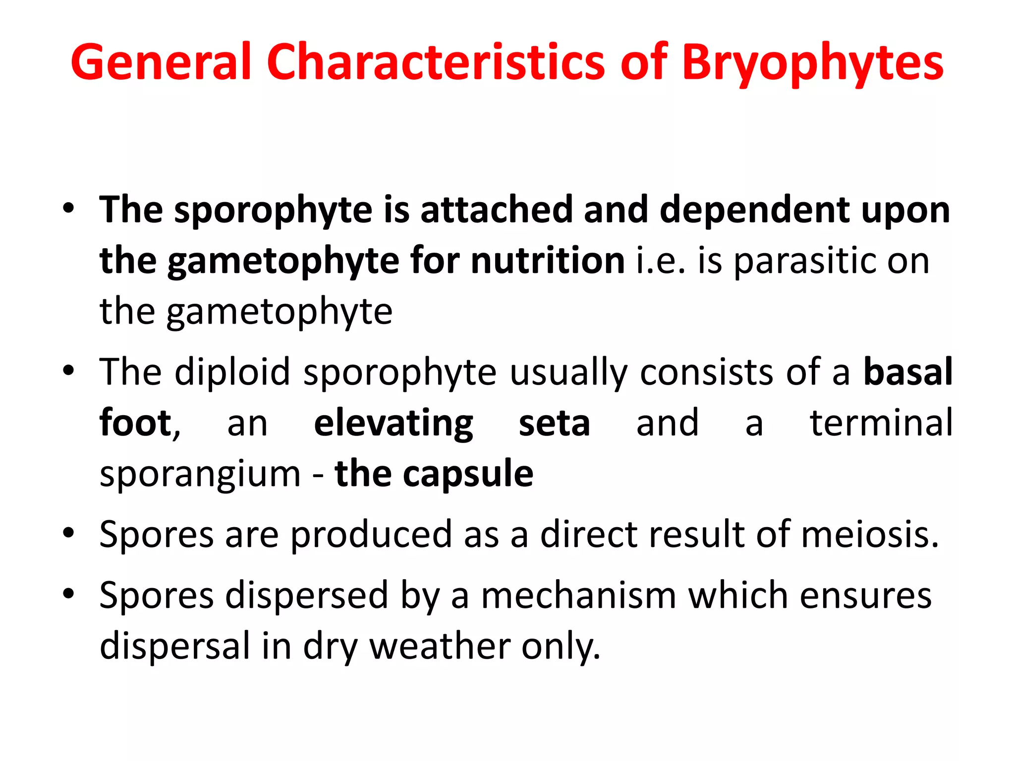 Bryophytes,Pteridophytes | PPTX