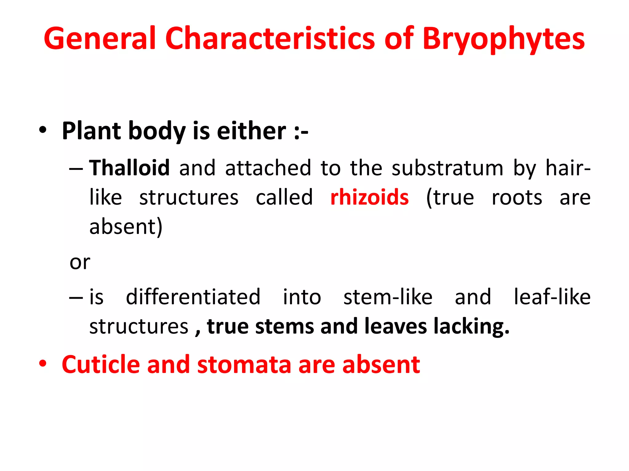 Bryophytes,Pteridophytes | PPTX