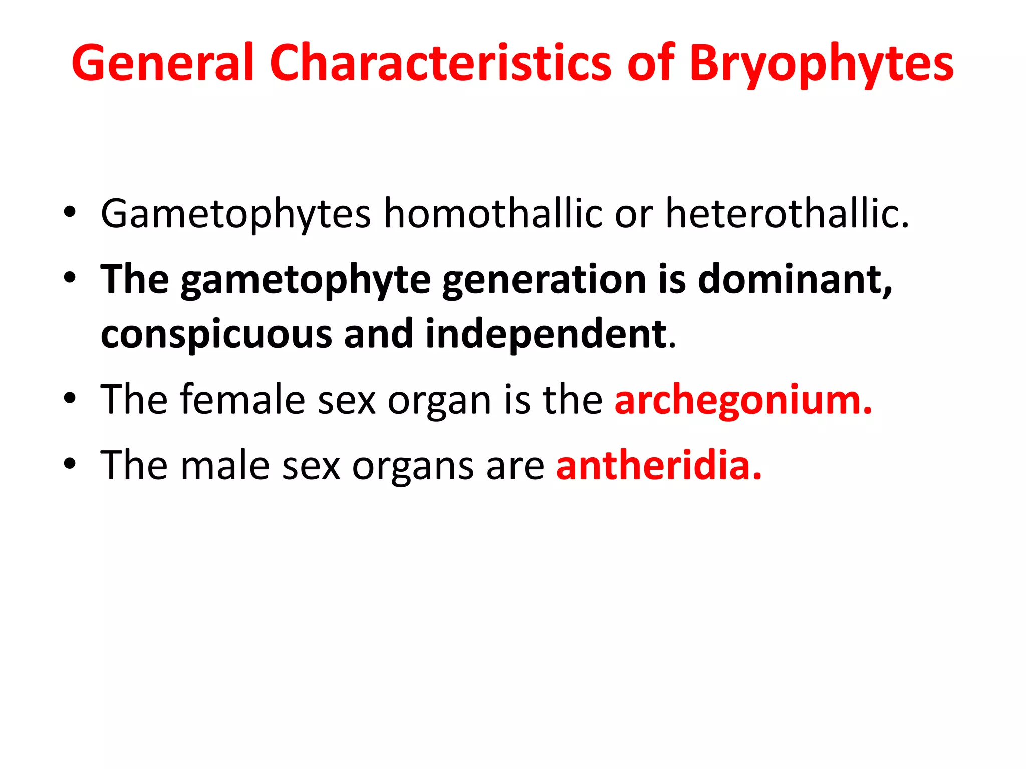 Bryophytes,Pteridophytes | PPTX