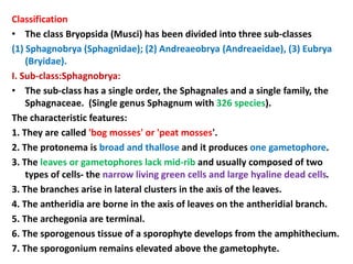 bryopsida general characters in detail.ppt