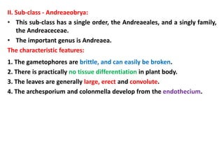 bryopsida general characters in detail.ppt