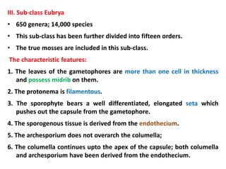 bryopsida general characters in detail.ppt