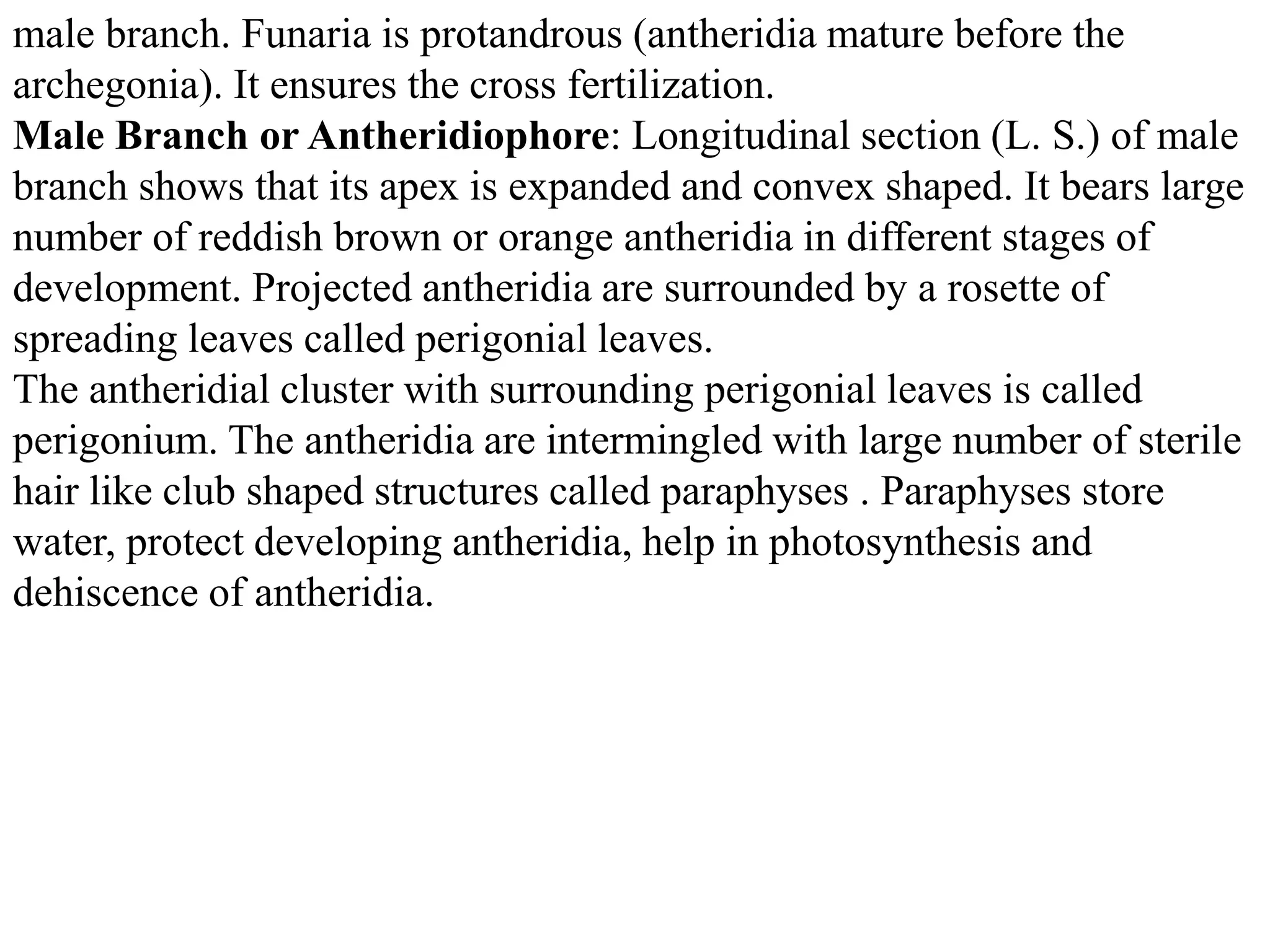 Bryopsida – funaria | PPTX