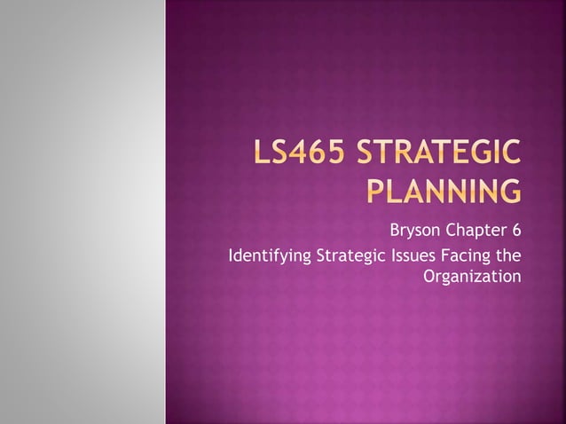 Bryson. chapter 6. identifying strategic issues facing the organization ...