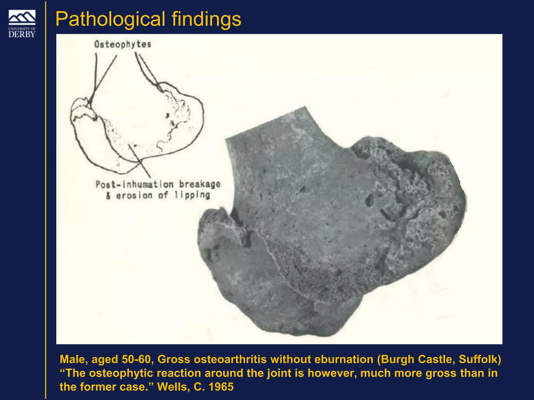 The value of clinical knowledge in understanding pathological findings ...