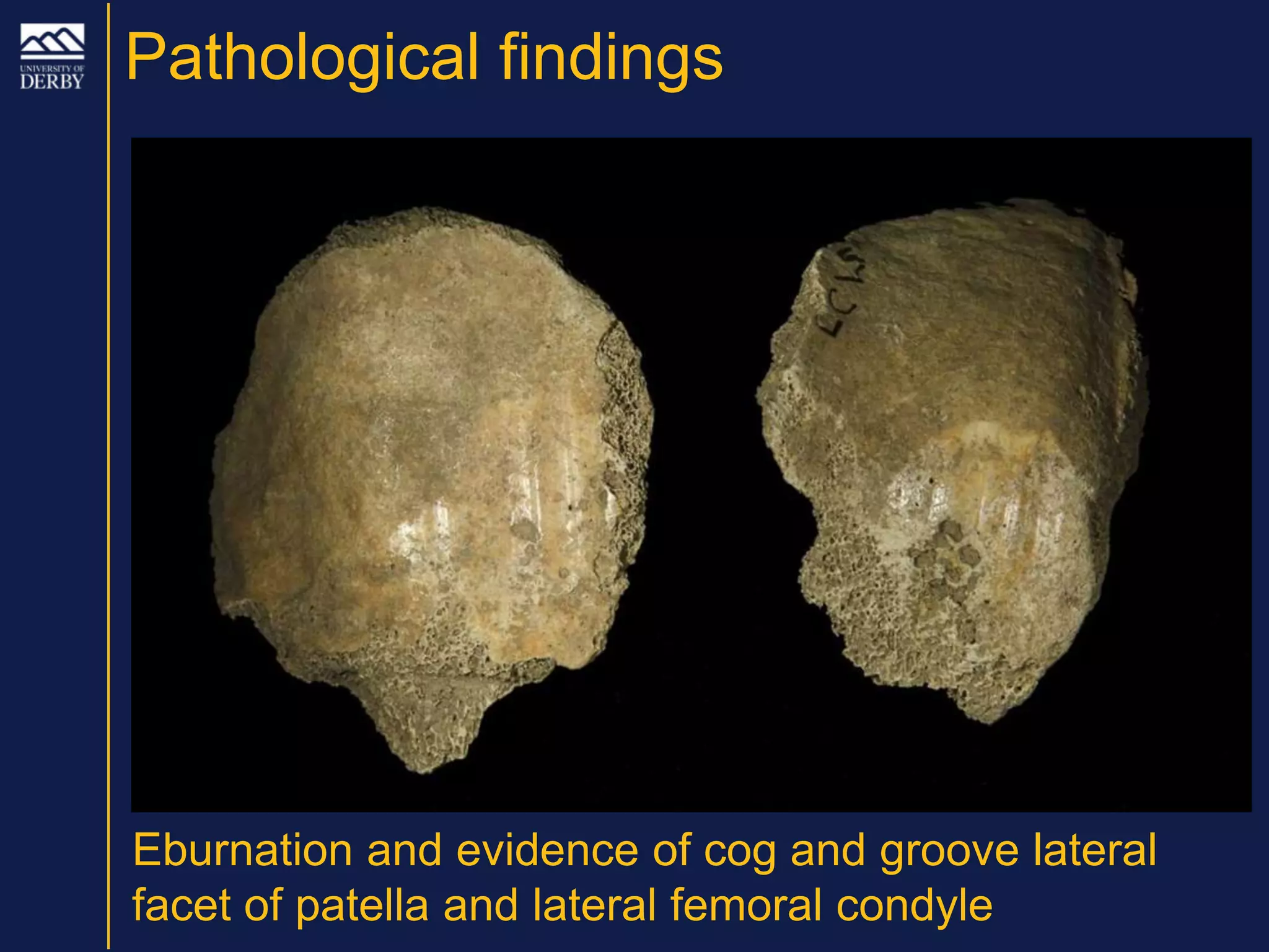 The value of clinical knowledge in understanding pathological findings ...