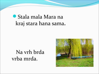 Brzalice i brojalice, Aleksa Damnjanović | PPT