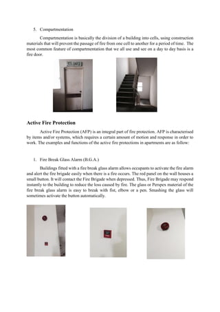 Bs ii-assignment | PDF