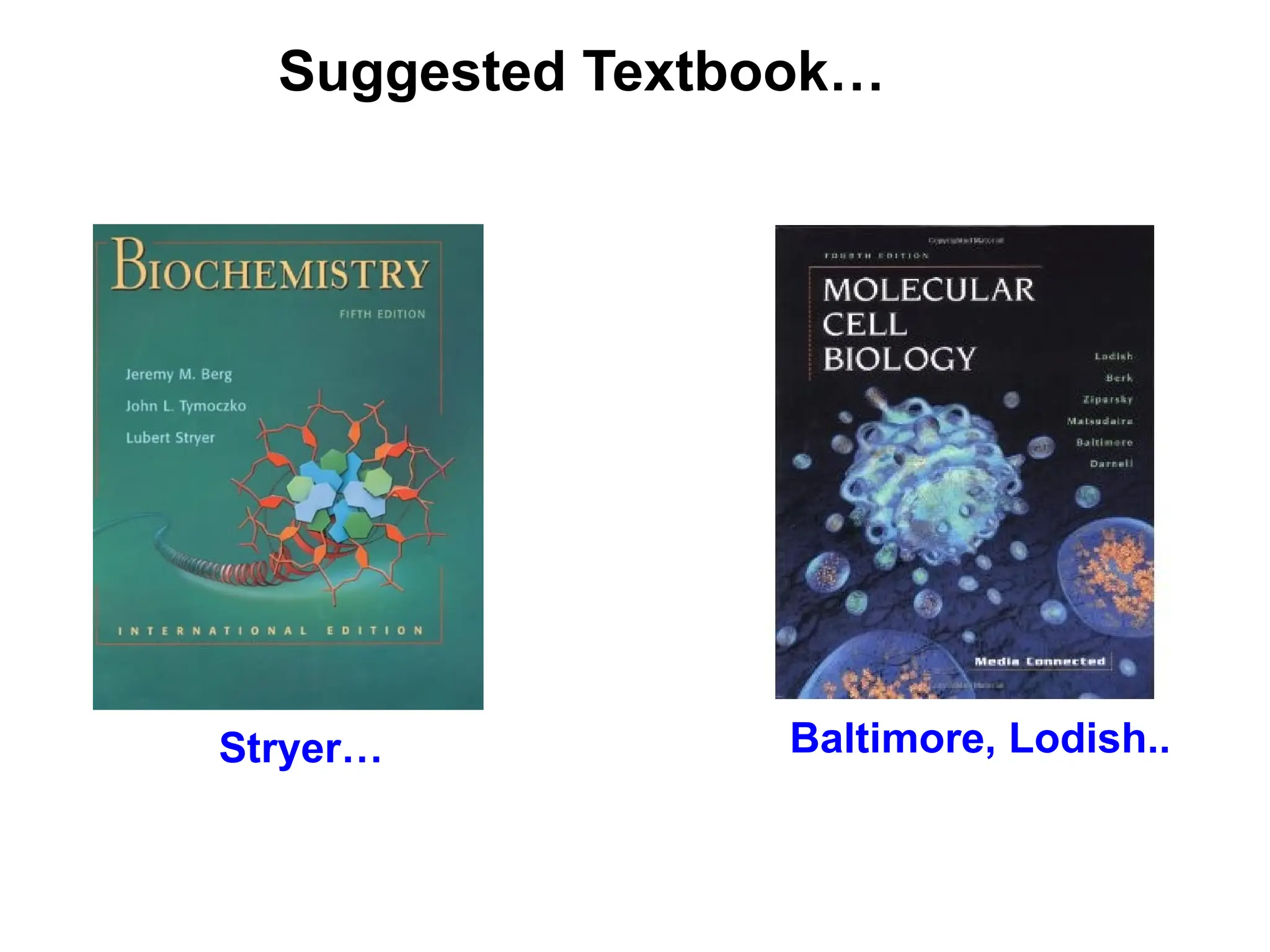 BS10003_Lecture2_Transcription_and_Translation.pptx