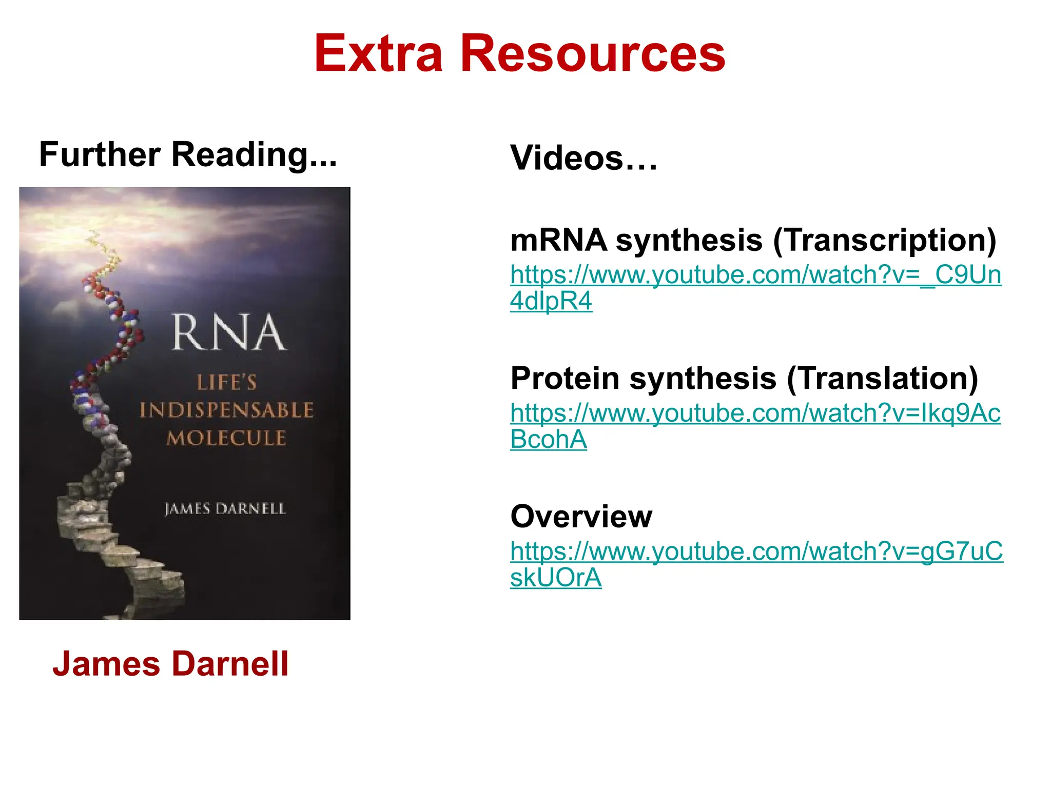 BS10003_Lecture2_Transcription_and_Translation.pptx