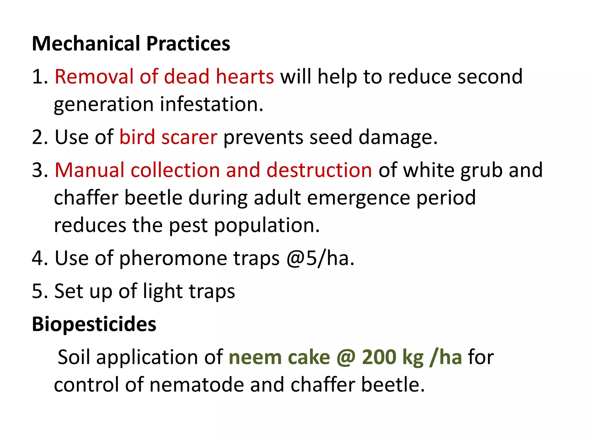 INTEGRATED PEST MANAGEMENT IN MAIZE | PPTX