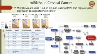 Cervical Cancer Metastasis | PPT