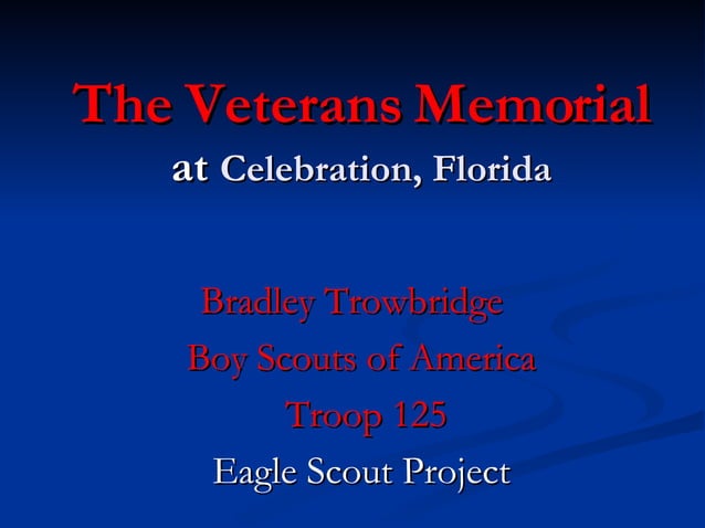 Bsa Brads Presentation To Vfw | PPT