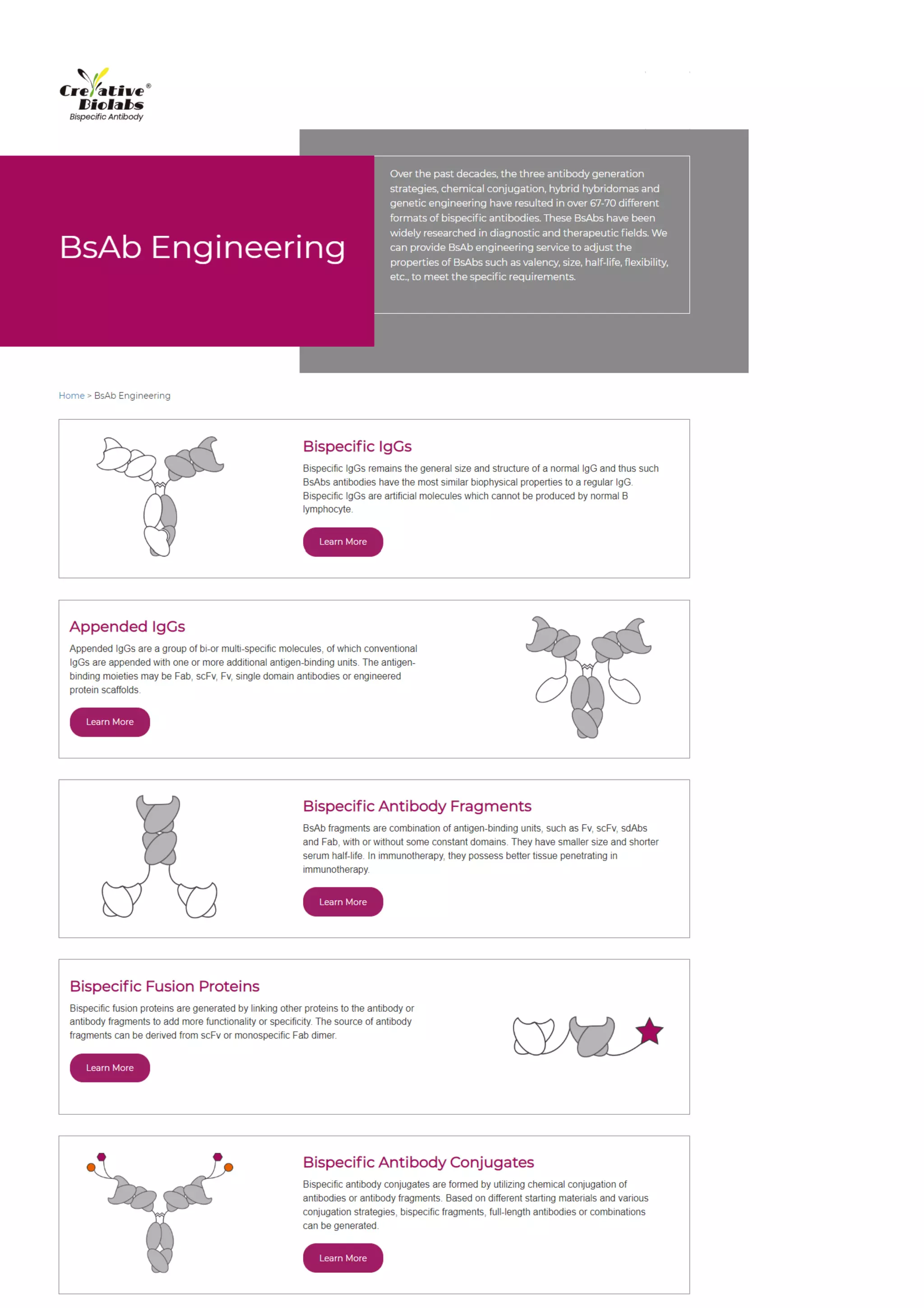 BsAb Engineering Services.pdf