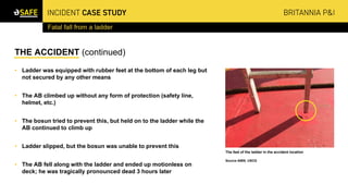 BSafe-Case-Study-No.2-Fatal-Ladder-Fall.pdf