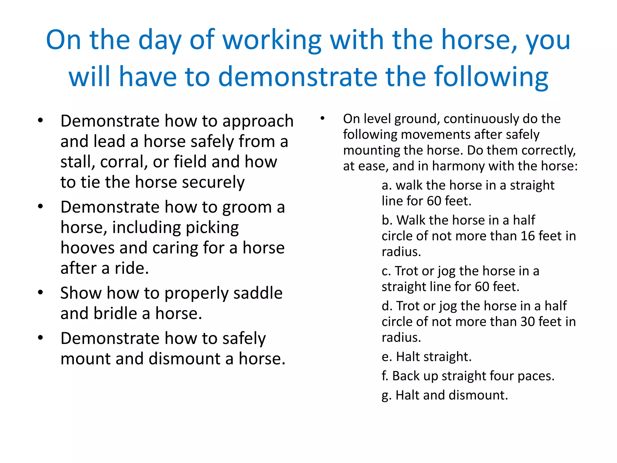 BSA Horsemanship MB | PPTX