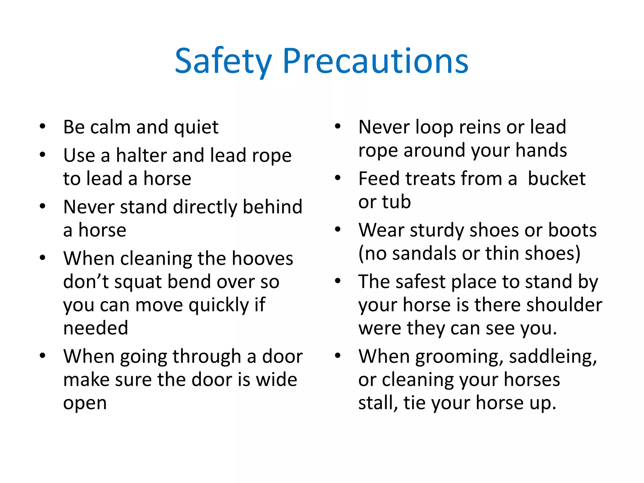 BSA Horsemanship MB | PPTX