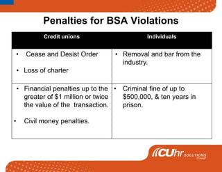 BSA Summary And Ofac Risk Assessment Considerations Of Nov 2009 Pub Aug ...