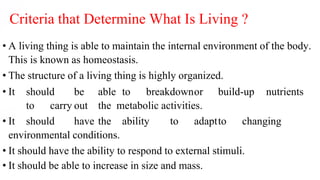 1st class the_living_world | PPT