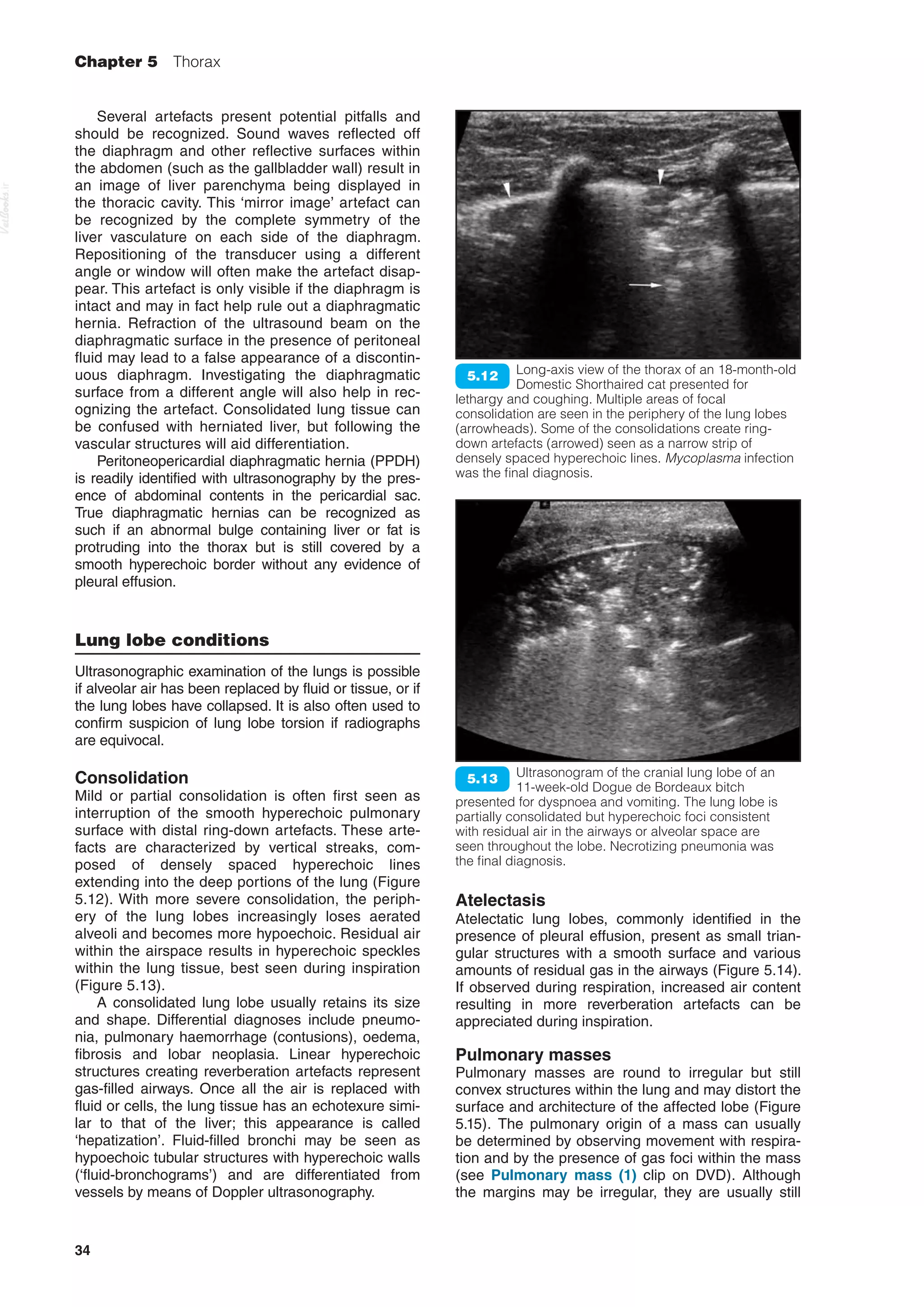 BSAVA Manual of Canine and Feline Ultrasonography.pdf
