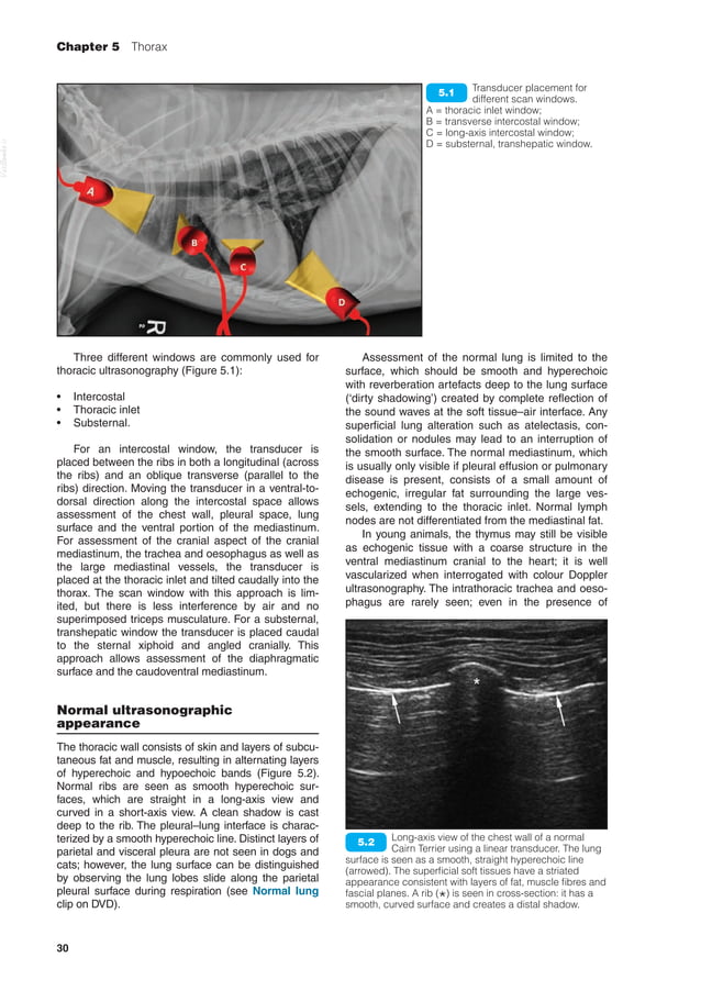 BSAVA Manual of Canine and Feline Ultrasonography.pdf
