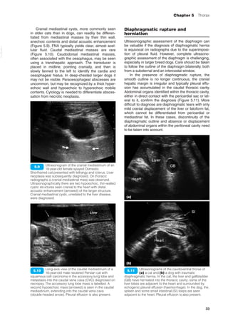 BSAVA Manual of Canine and Feline Ultrasonography.pdf