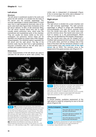 BSAVA Manual of Canine and Feline Ultrasonography.pdf