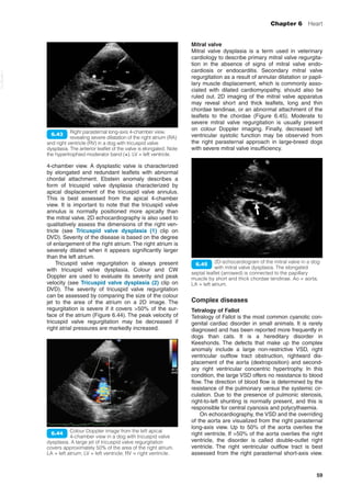 BSAVA Manual of Canine and Feline Ultrasonography.pdf