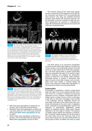 BSAVA Manual of Canine and Feline Ultrasonography.pdf