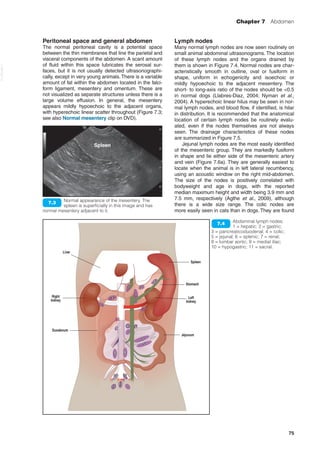 BSAVA Manual of Canine and Feline Ultrasonography.pdf