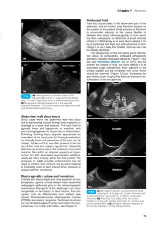 BSAVA Manual of Canine and Feline Ultrasonography.pdf