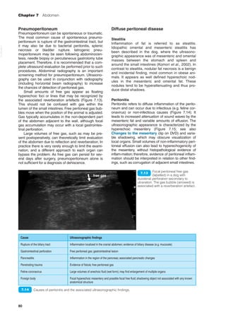 BSAVA Manual of Canine and Feline Ultrasonography.pdf