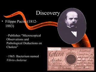 vibro cholerae (physiology and toxicology of this bacteria | PPT