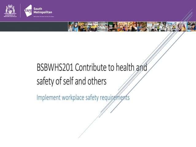 WHS - Session 2 Hazards and Risks | PPTX | Medical Health