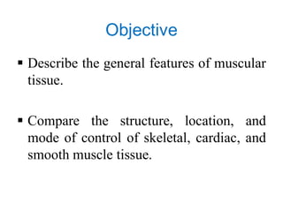 MUSCULAR TISSUES.pdf