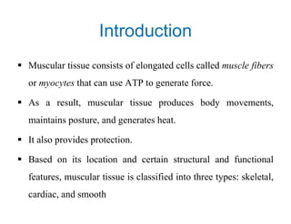 MUSCULAR TISSUES.pdf