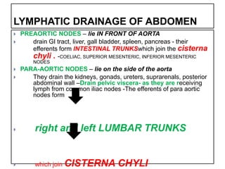 BSC nursing - LYMPHATIC SYSTEM notes.pptx