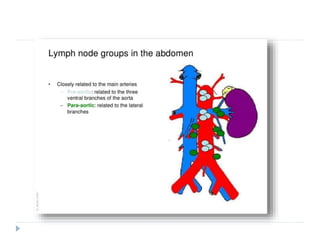 BSC nursing - LYMPHATIC SYSTEM notes.pptx