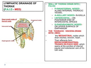 BSC nursing - LYMPHATIC SYSTEM notes.pptx