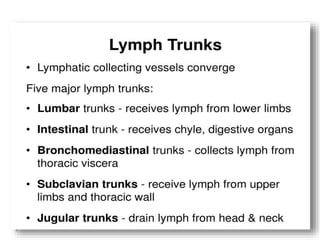 BSC nursing - LYMPHATIC SYSTEM notes.pptx