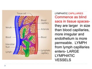 BSC nursing - LYMPHATIC SYSTEM notes.pptx